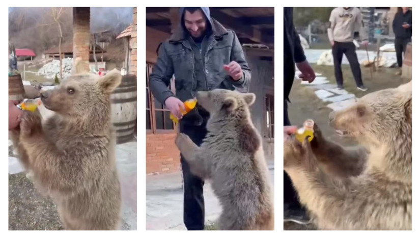 „ალბათ, ფერით თაფლს მიამსგავსა“ - ფშავში, რესტორან „სტუმარ-მასპინძელს ...